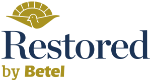 Restored Furniture Restored upcycled vintage furniture Betel Restored Furniture